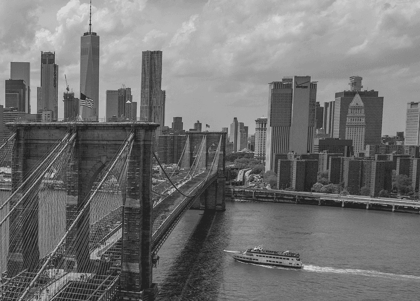 Services | SLS Center